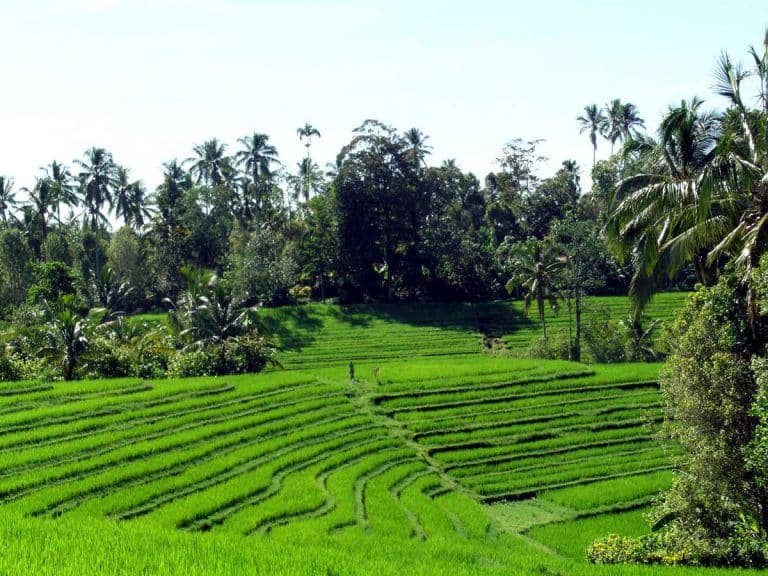 Bali, Travel Information and pictures - BigFoto.com