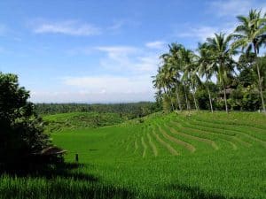 Bali, Travel Information and pictures - BigFoto.com