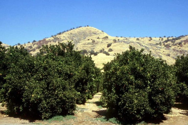 California Travel Information and Pictures - BigFoto.com