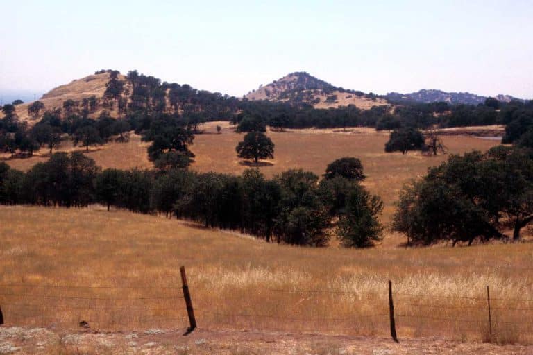 California Travel Information and Pictures - BigFoto.com