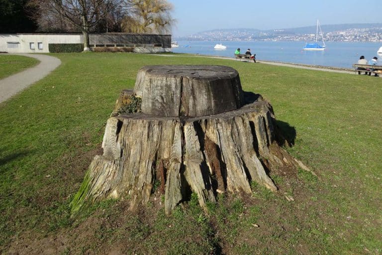 Big Photo Images for Download and Free Use - Bigfoto.com