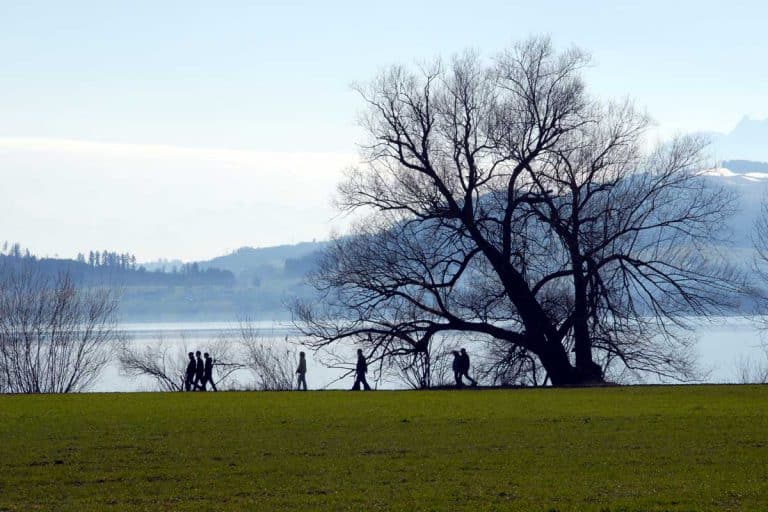 Big Photo Images for Download and Free Use - Bigfoto.com