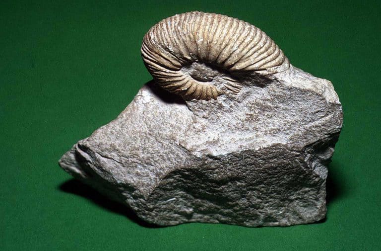 Geology, Rock, Mineral - BigFoto.com