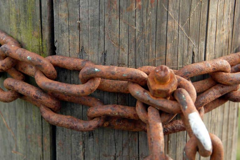 Tips to better pictures (2) - BigFoto.com