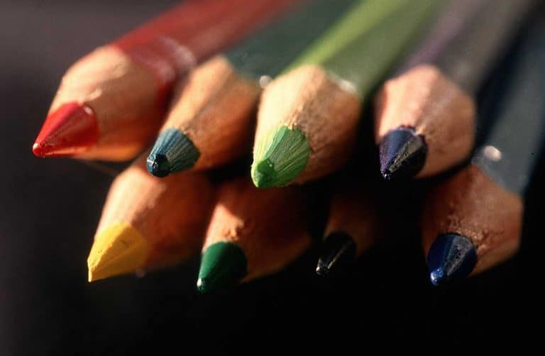 Closeup Pictures - BigFoto.com