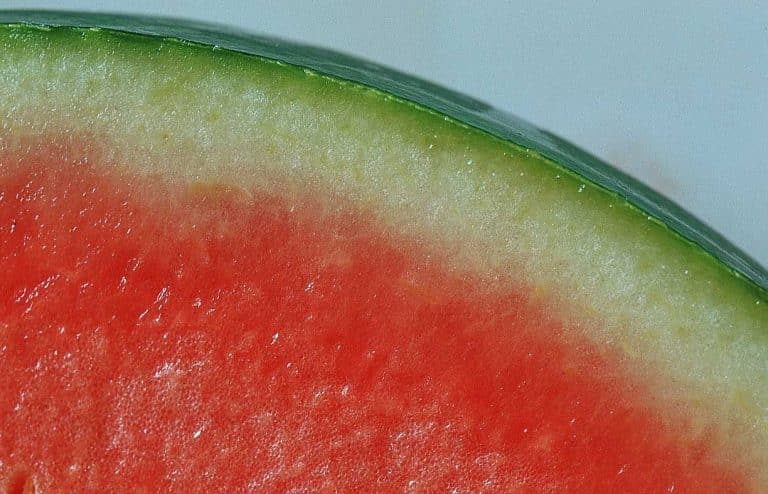 Closeup Pictures - BigFoto.com