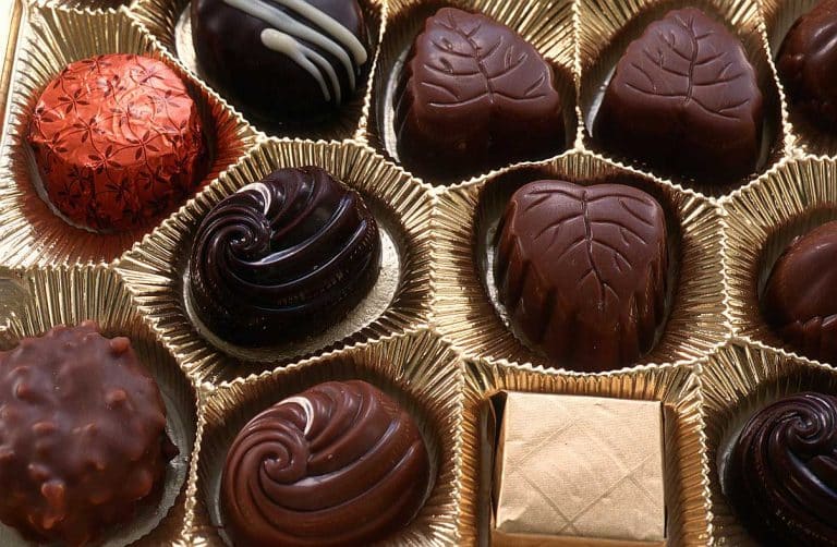 Closeup Pictures - BigFoto.com