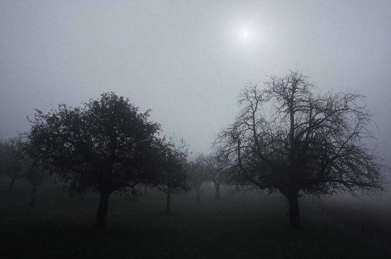 Landscapes, Nature Pictures - BigFoto.com