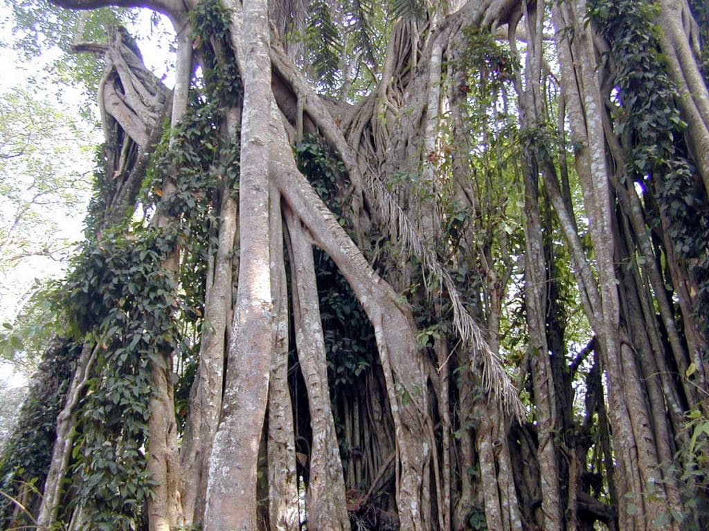 Ghana Pictures and Travel Information - BigFoto.com